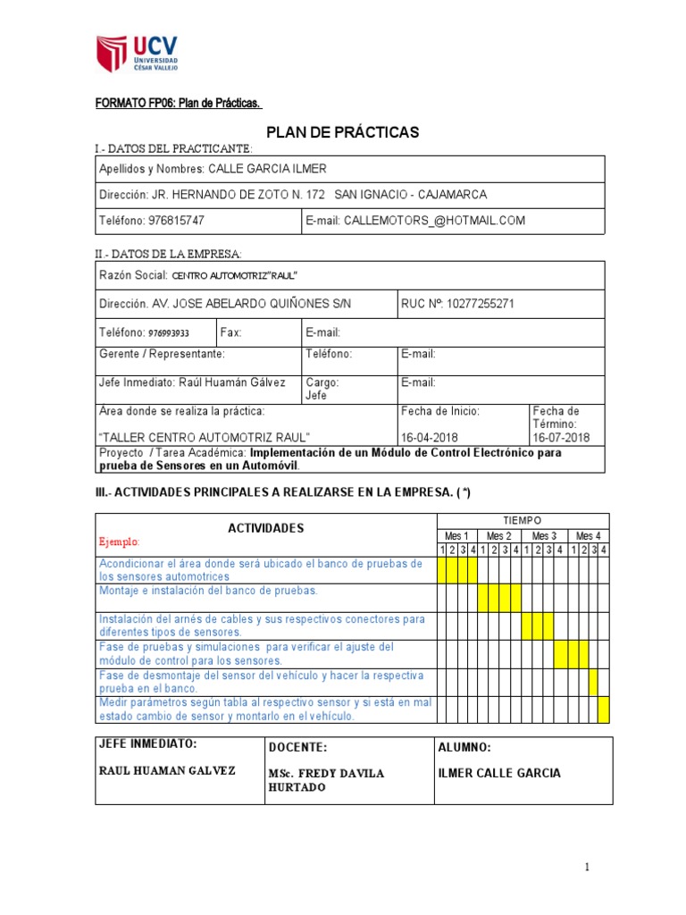 FORMATO FP06 Plan de Prácticas | PDF | Informática | Bienes manufacturados