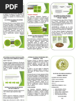 Acceso y Uso de SNIFA en Chile | PDF | Gobierno | Justicia