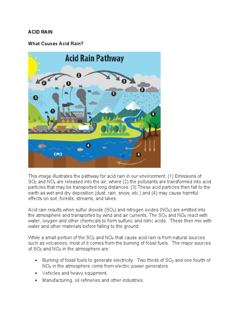 What Causes Acid Rain? | PDF | N Ox | Sulfur Dioxide