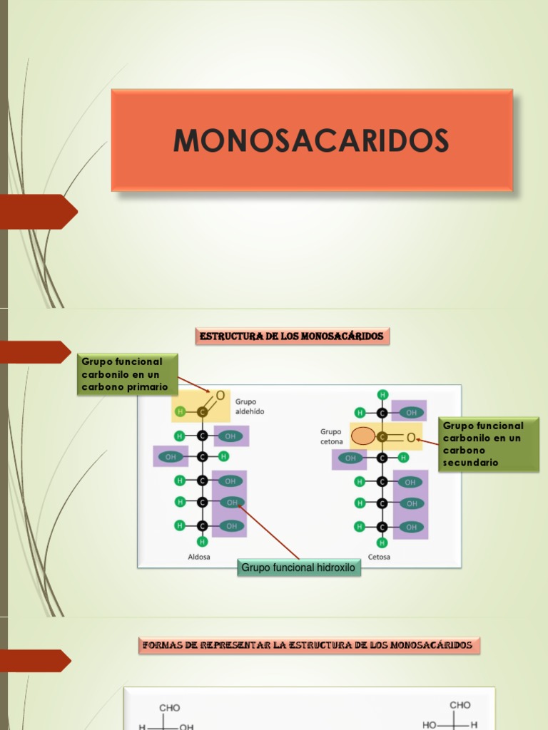 Monosacaridos PDF | PDF | Carbohidratos | Biomoléculas