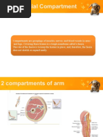 Compartment Syndrome Hand and Forearm | PDF | Diseases And Disorders ...