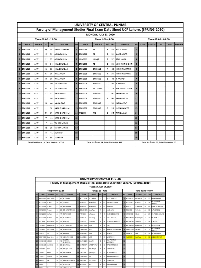 University of Central Punjab Faculty of Management Studies Final Exam ...