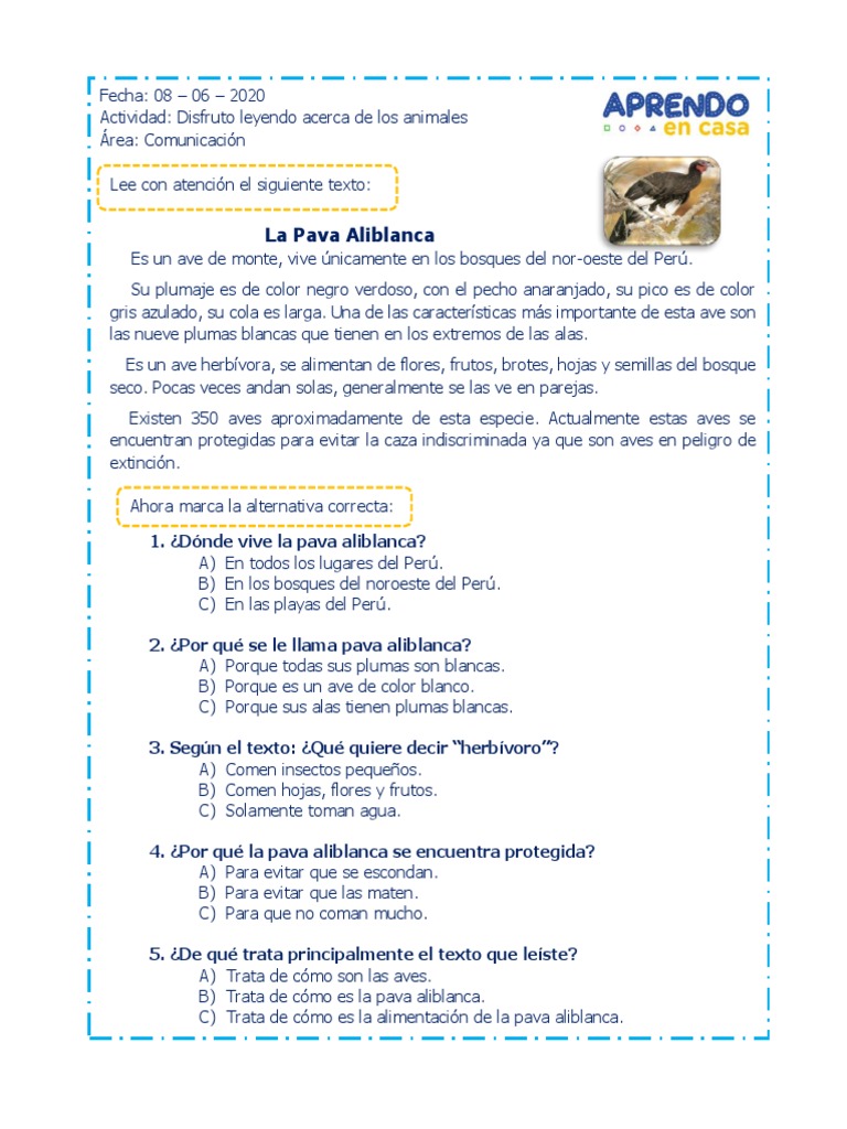 Lecturas de Animales | Descargar gratis PDF | Aves | Dinosaurios