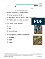 Worksheet - Parts of A Plant - Answer Key | PDF | Leaf | Plants