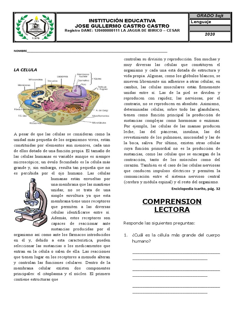 Comprensión Lectora: La Célula para 5to | PDF | Biología Celular ...