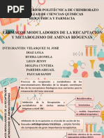Receta de Imss | PDF | Ciencias de la Salud | Cuidado de la salud