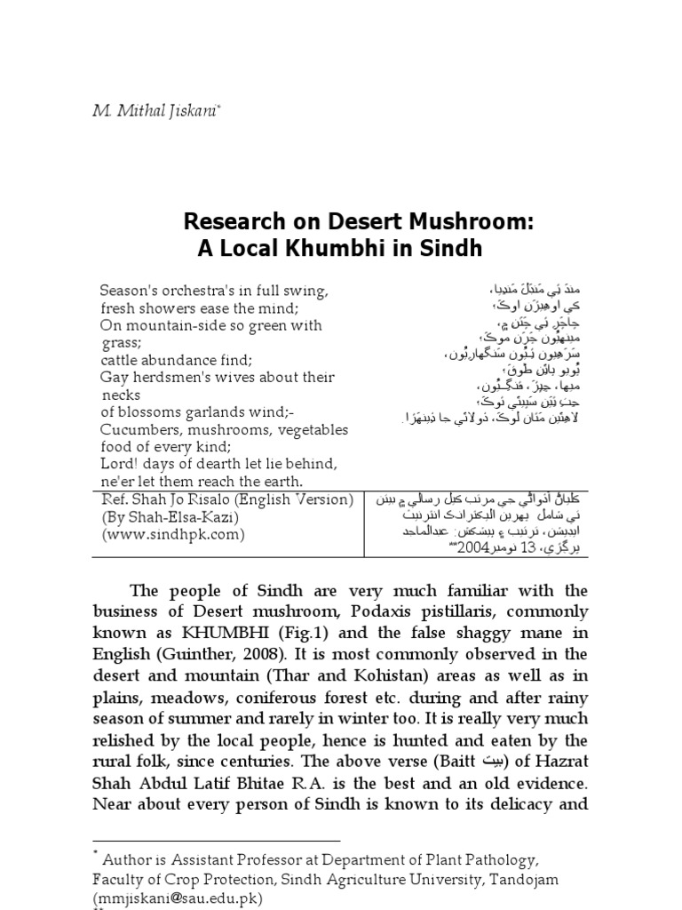 Research on Desert Mushroom: A Local Khumbhi in Sindh | PDF | Mushroom ...