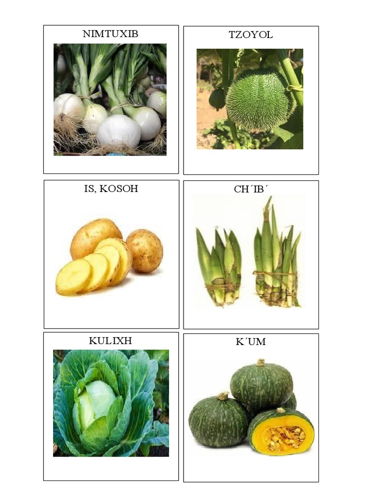 Popti | PDF | Relaciones personales, crianza y desarrollo personal