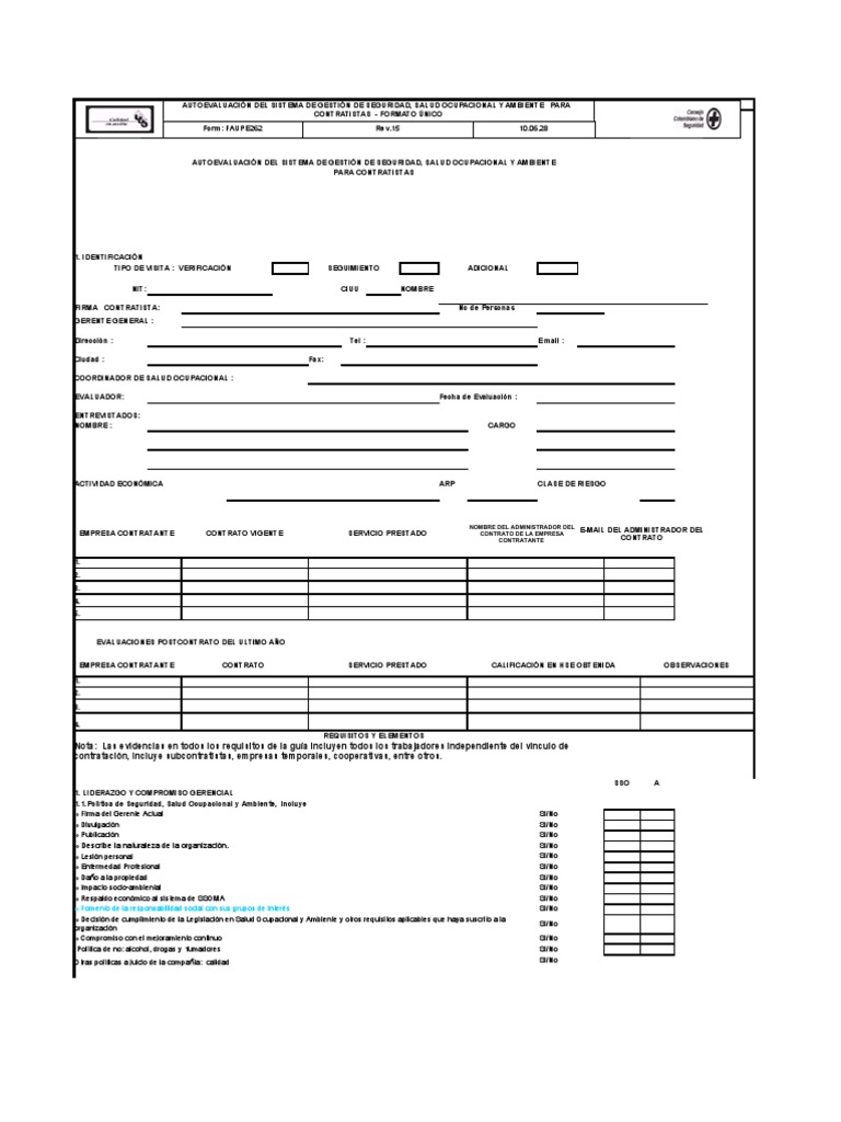 Formato - Unico (1) Ruc | PDF | Seguridad y salud ocupacional | Vigilancia