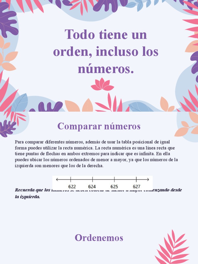 Ordenar Numeros en La Recta Numerica | PDF