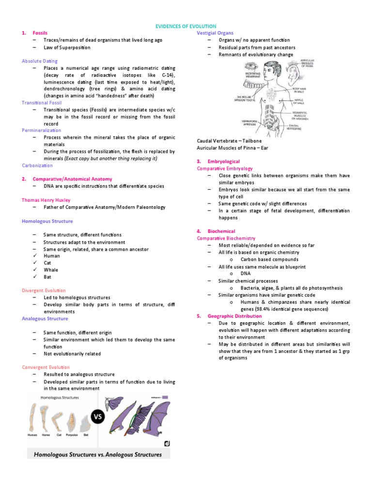 Evidence Supporting Evolutionary Theory | PDF | Evolution | Natural Selection