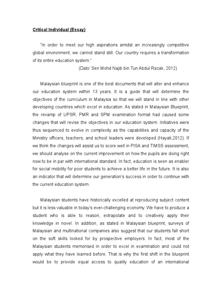 Critical Individual Essay | PDF | Programme For International Student ...