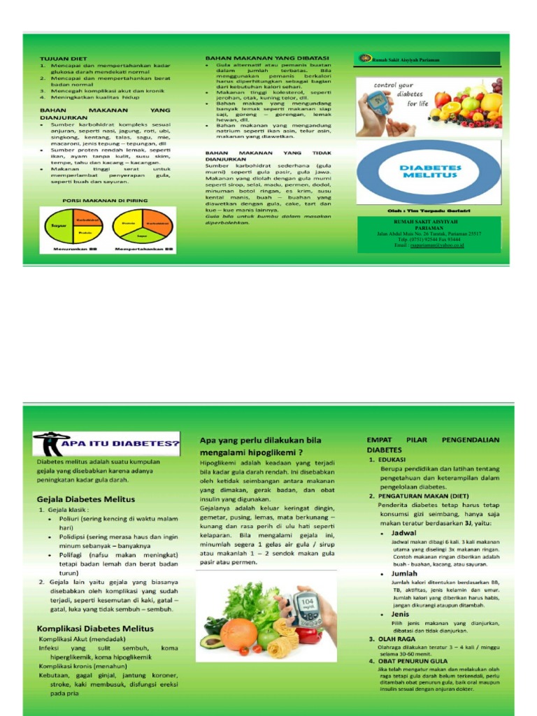 Leaflet Diabetes | PDF
