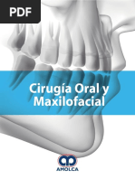 Hupp, Cirugía Oral y Maxilofacial Contemporánea | PDF