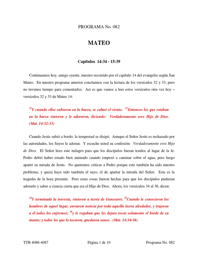 Reflexiones sobre Mateo 14-15 | PDF | San Pedro | Jesús