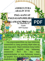 Halamang Dahon | PDF