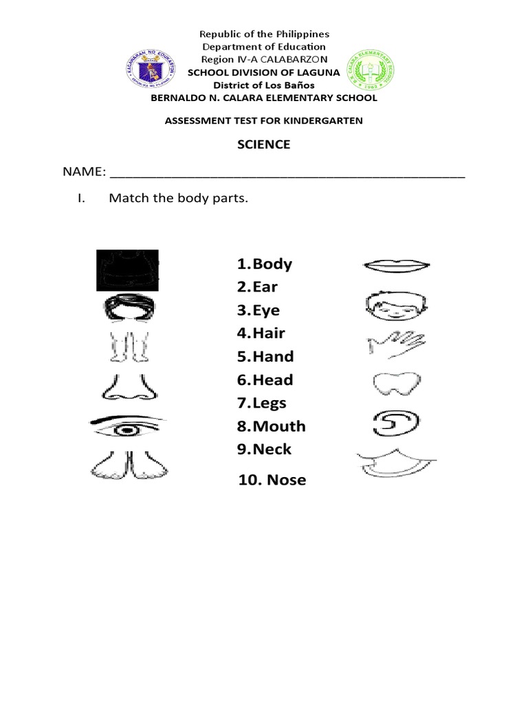 Kindergarten Science Assessment Test | PDF | Foreign Language Studies