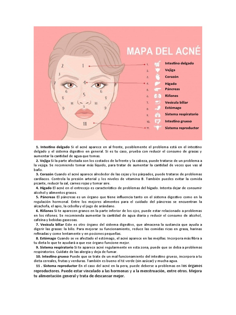 Mapa del Acné y sus Causas Corporales | PDF | Sistema digestivo humano ...