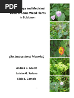 Ipil Ipil | PDF | Plants | Botany