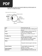 Eye Test: 3 Free Eye Charts To Download and Print at Home | PDF ...