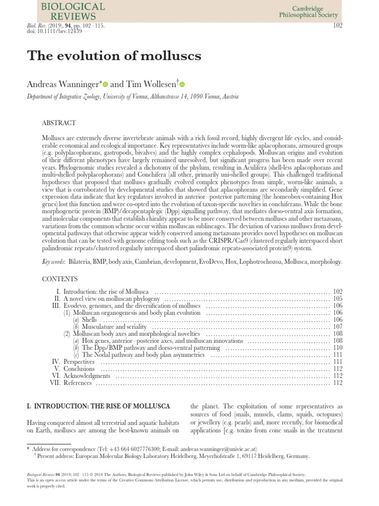 Evolution of Molluscs 2019 | PDF | Mollusca | Extracellular Matrix