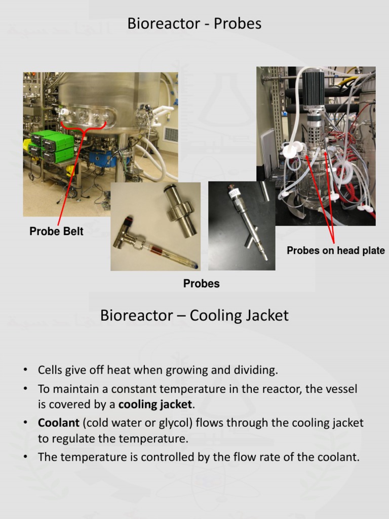 Bioreactors Design - Part5 | PDF