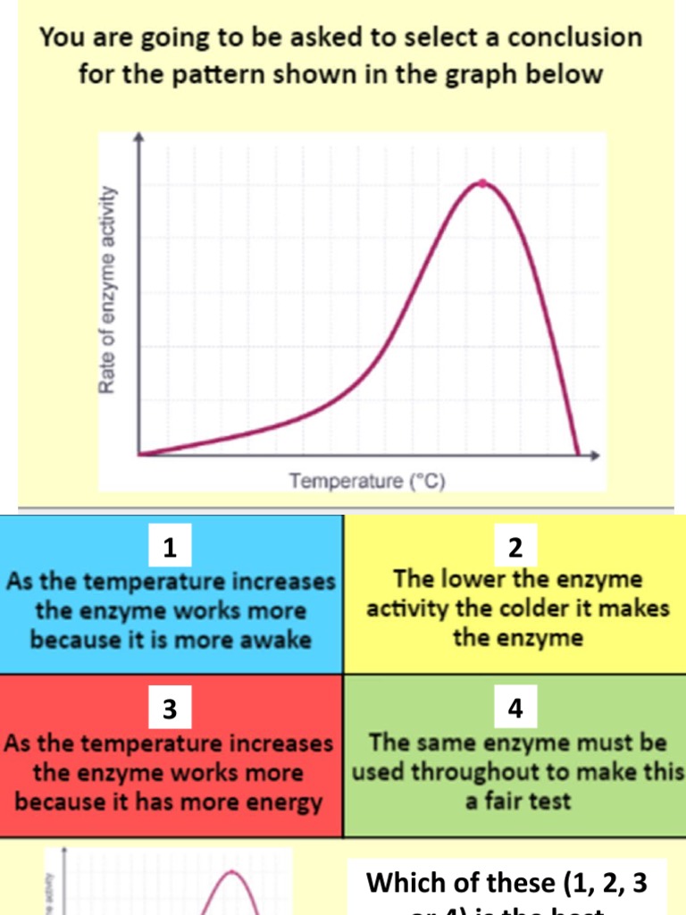 Hinge Point Question For Y10 Enzymes | PDF