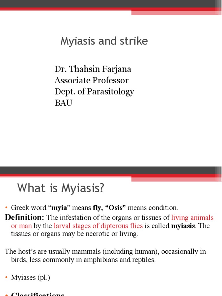 Myiasis and Strike: Dr. Thahsin Farjana Associate Professor Dept. of ...