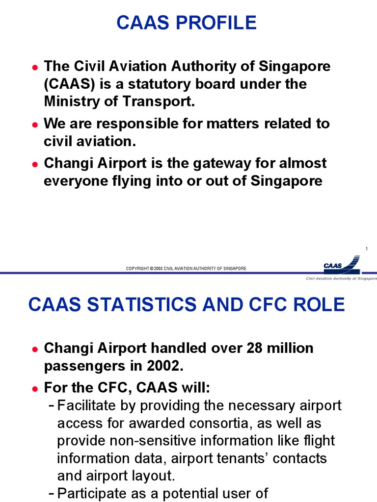 01 Caas | PDF | Business | Computers