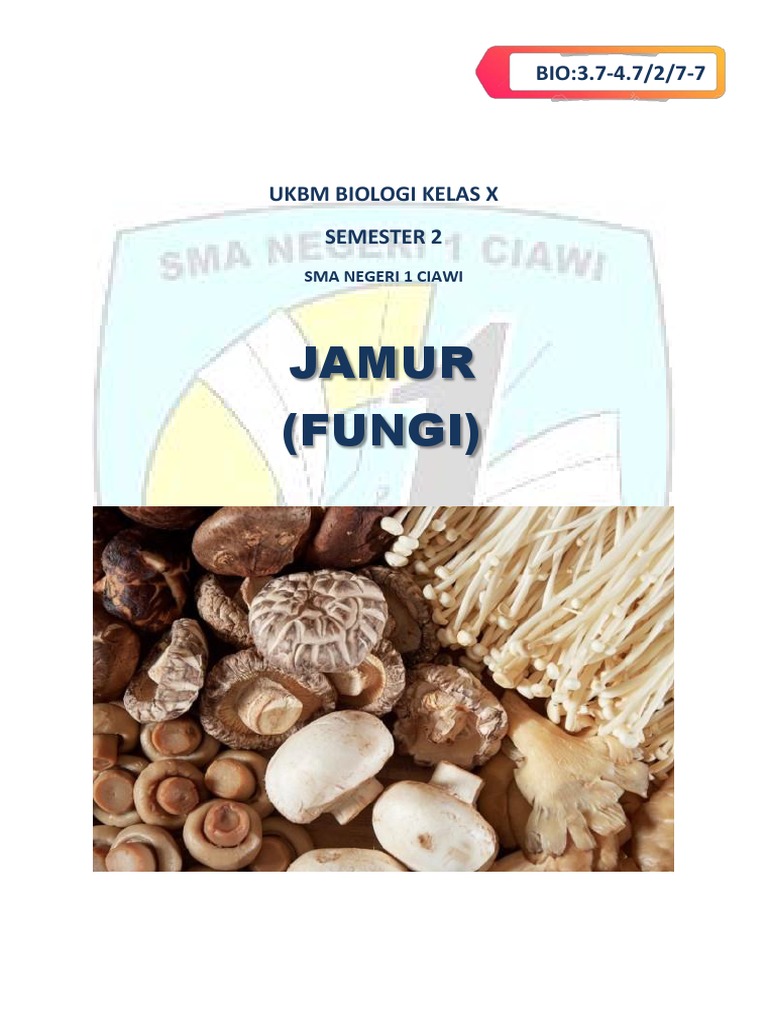 Ukbm 7 Jamur | PDF
