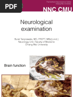 AP Psychology Brain Project: Unit 3: Biological Bases of Behavior | PDF ...