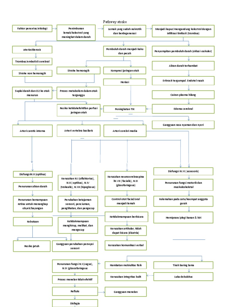 Pathway Stroke: Hemoragik dan Iskemik | PDF