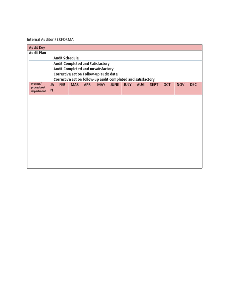 Internal AUDITOR PERFORMA | PDF | Finance & Money Management