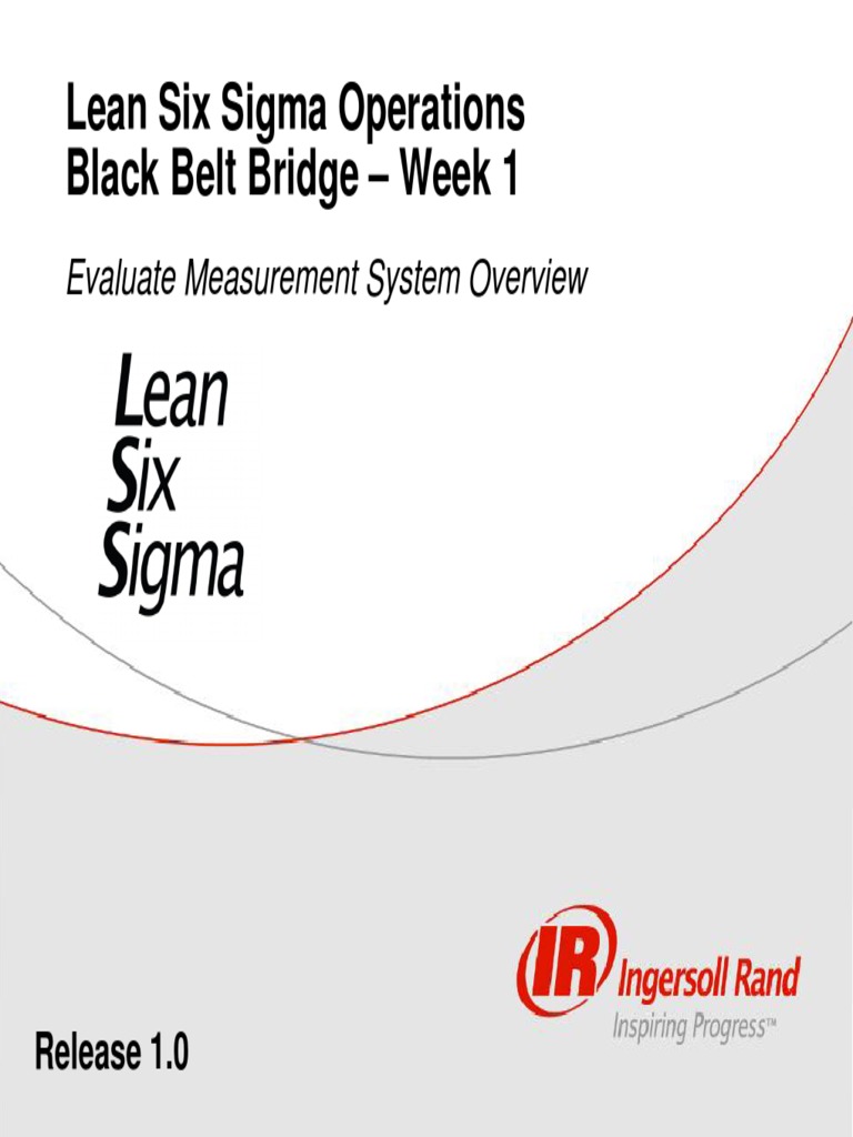 Lean Six Sigma Operations Black Belt Bridge - Week 1: Evaluate ...