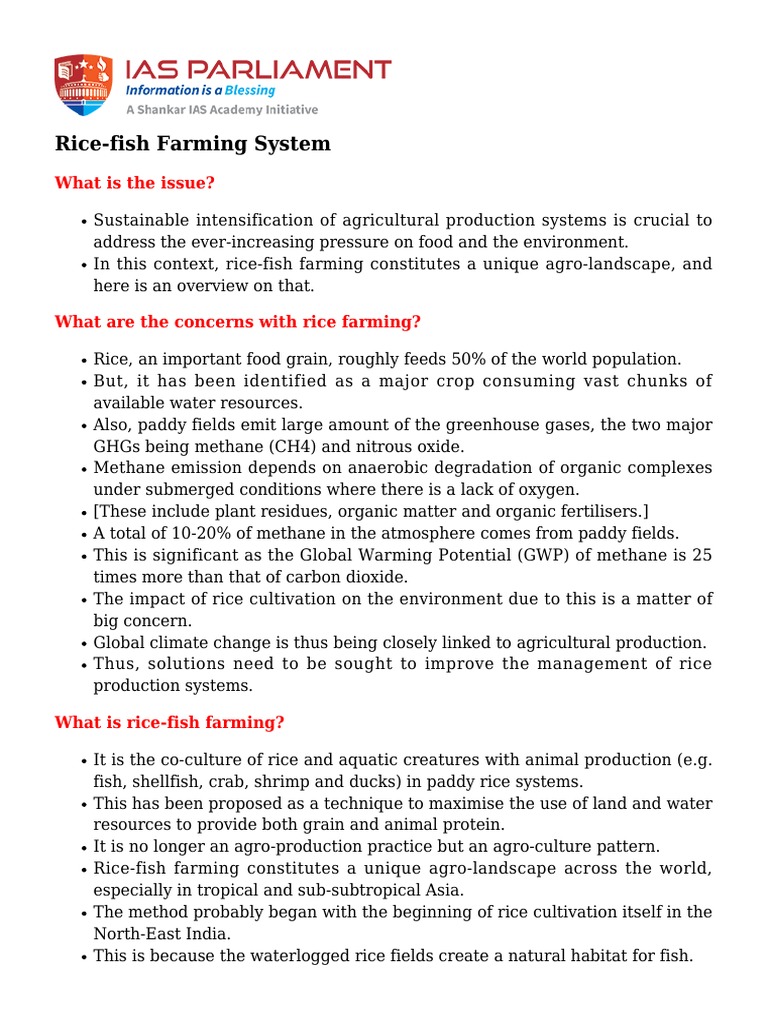 Rice-Fish Farming System: What Is The Issue? | PDF | Rice | Agriculture