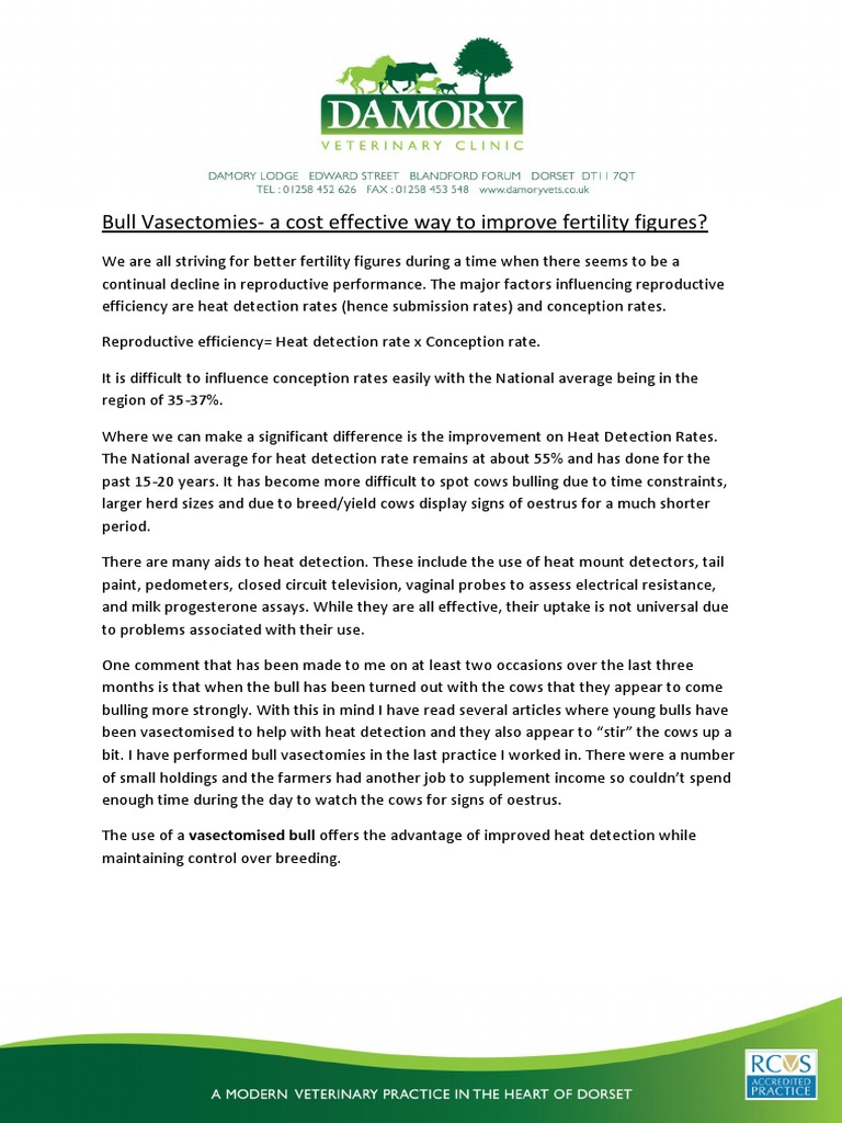 Bull Vasectomy | PDF | Bull | Cattle