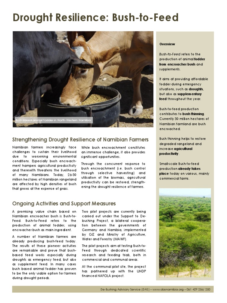Bush To Feed Factsheet | PDF | Food Industry | Food And Drink