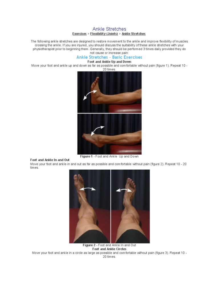 Ankle Stretches - Basic Exercises | PDF | Foot | Ankle