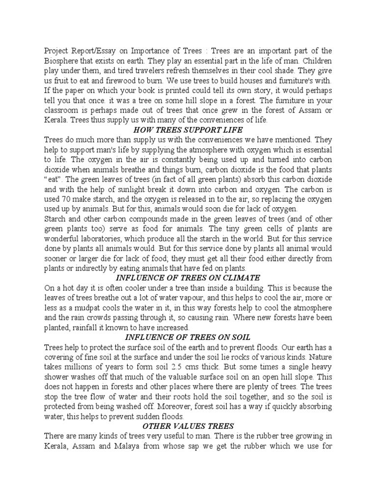 Project Report On Importance of Trees | PDF | Trees | Soil