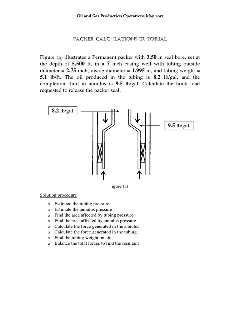 Packer Calculations Guide | PDF