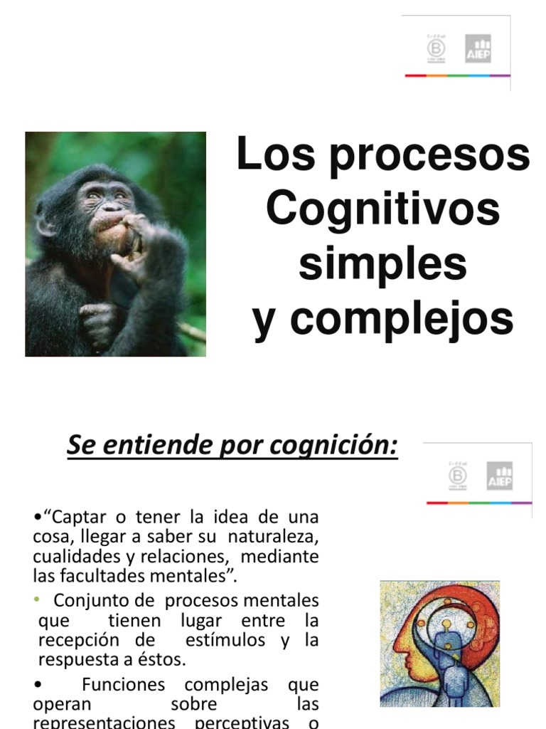 Los Procesos Cognitivos Simples y Complejos | PDF | Percepción | Memoria
