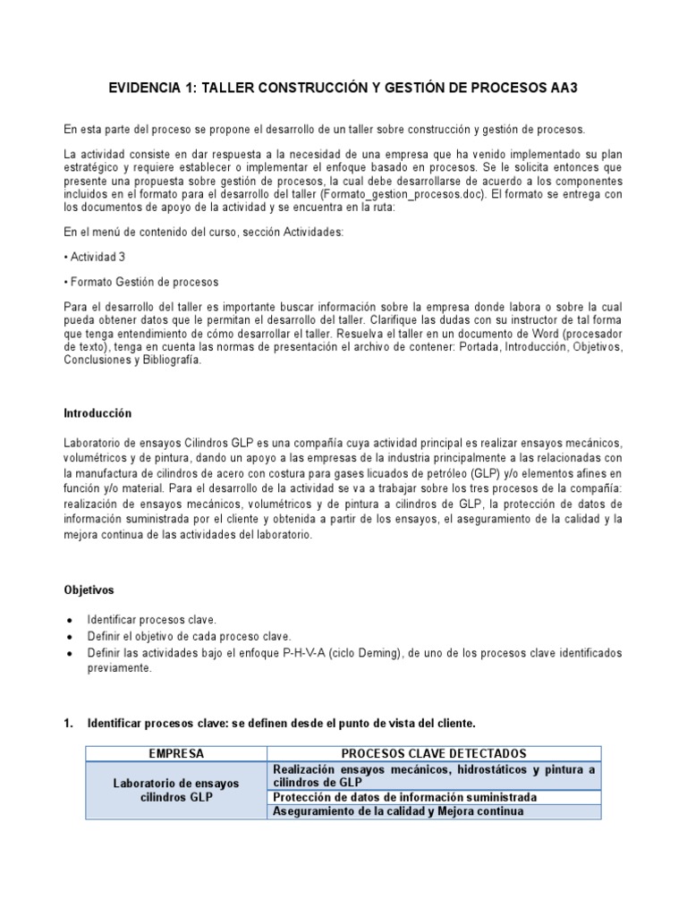 EVIDENCIASnACTIVIDADn3 Formato Gestion Procesos | PDF | Calidad (comercial) | Business