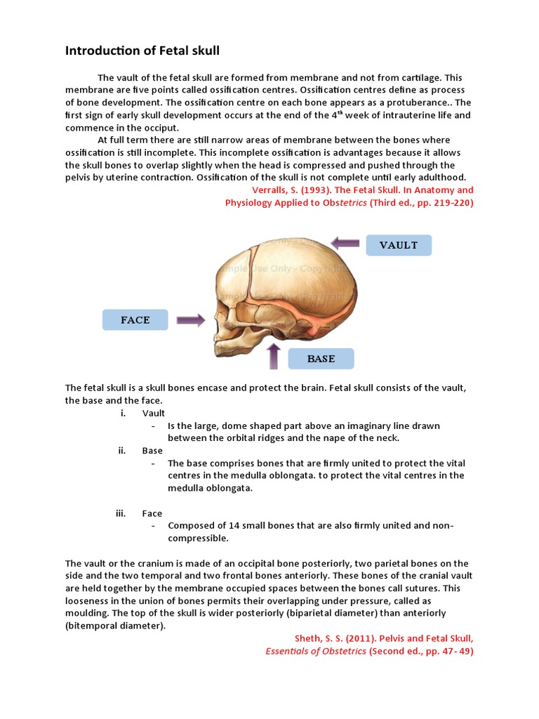 Sutures Of The Fetal Skull