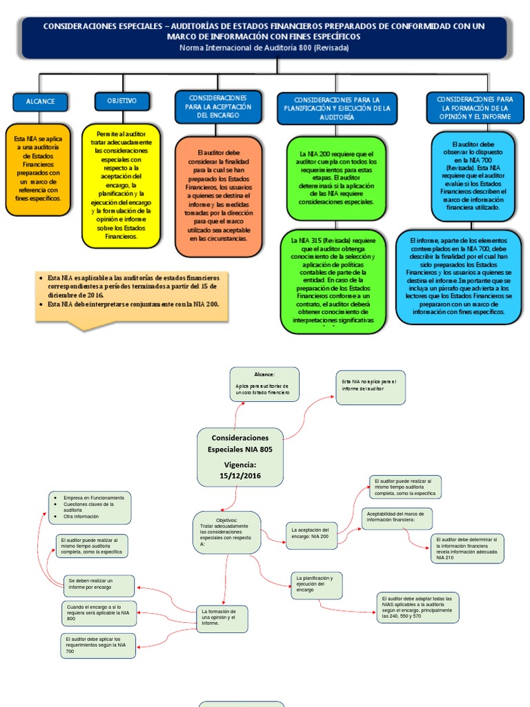 NIA 800, 805, 810, NIPA 1000 y NIA 250 Actual PDF | PDF | Auditoría ...