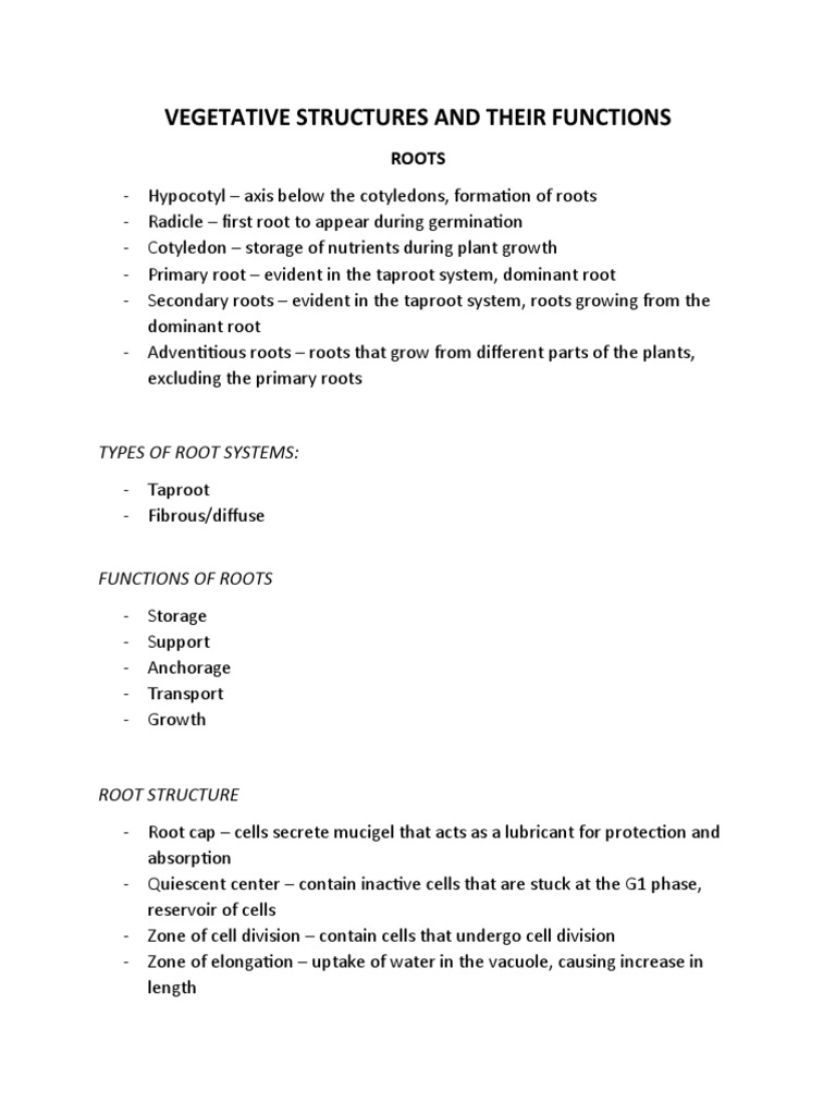 Vegetative Structures and Their Functions: Roots | PDF | Leaf | Plant Stem