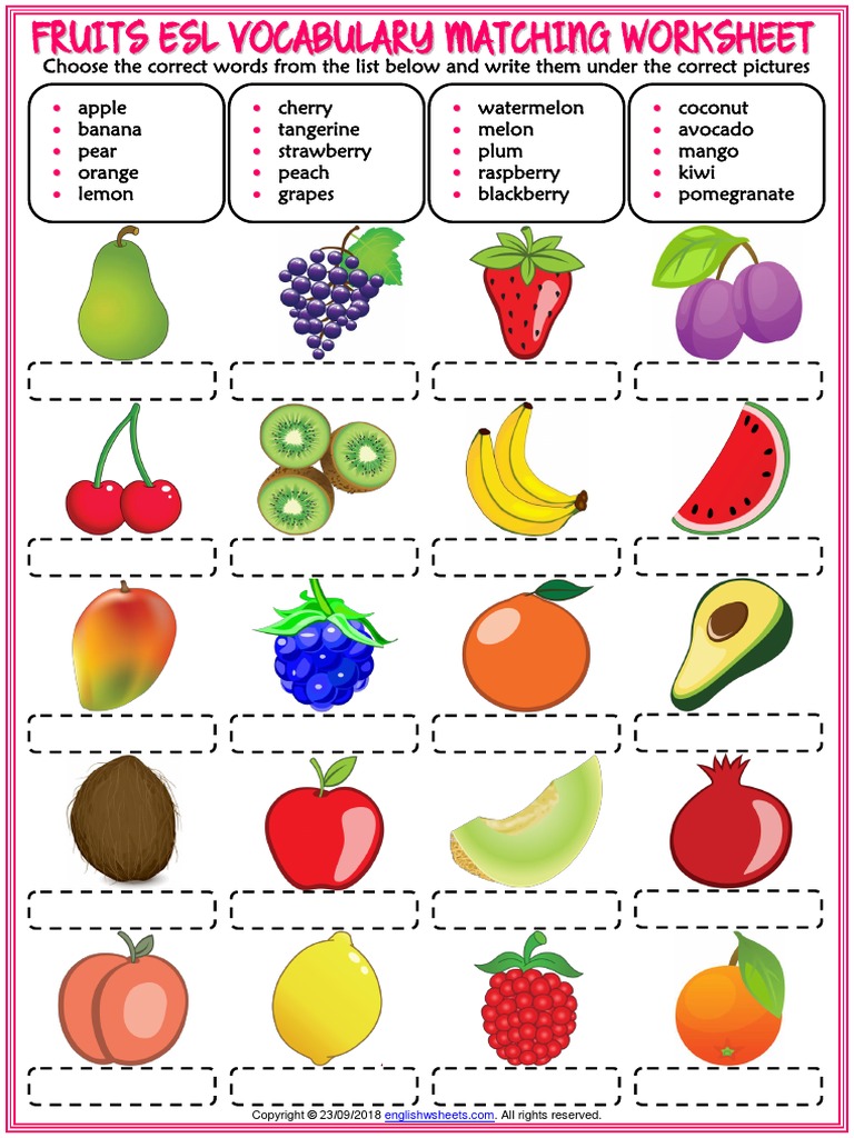 Fruits Vocabulary Esl Matching Exercise Worksheet For Kids | PDF
