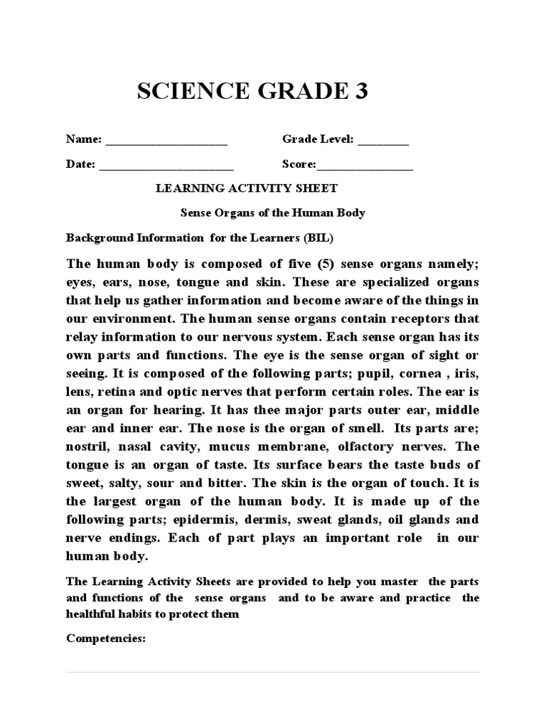 Grade 3 Sense Organs Activity Sheet | PDF | Senses | Skin
