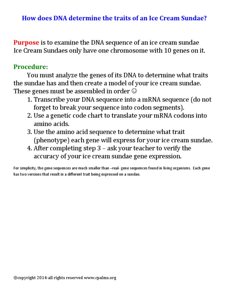 Ice Cream Sundae Synthesis For Cpalms | PDF | Genetic Code | Gene