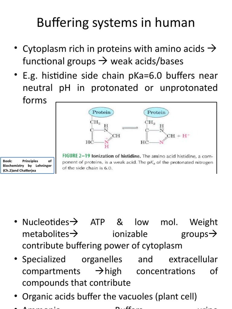 Buffering System in Human | PDF | Buffer Solution | Acid