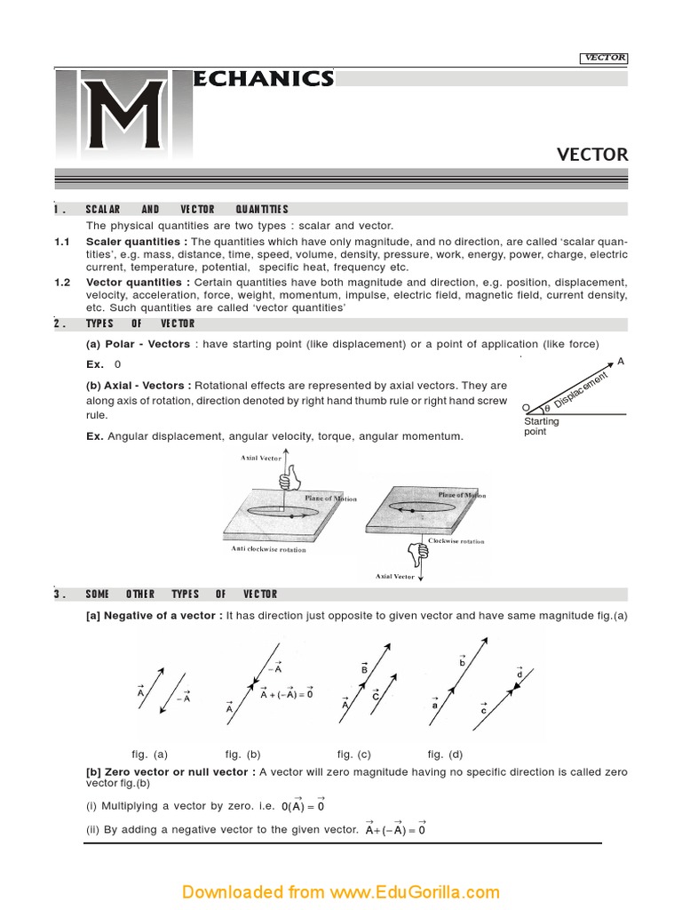 Vector 1 Scalar And Vector Quantities Pdf Rotation Around A Fixed Axis Euclidean Vector